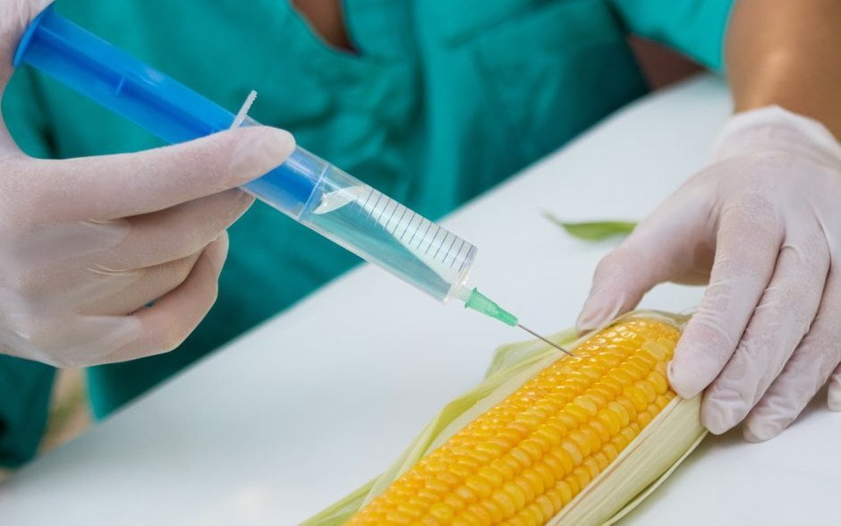 GENETIC ENGINEERING: PERILS AND POSSIBILITIES | Outeng